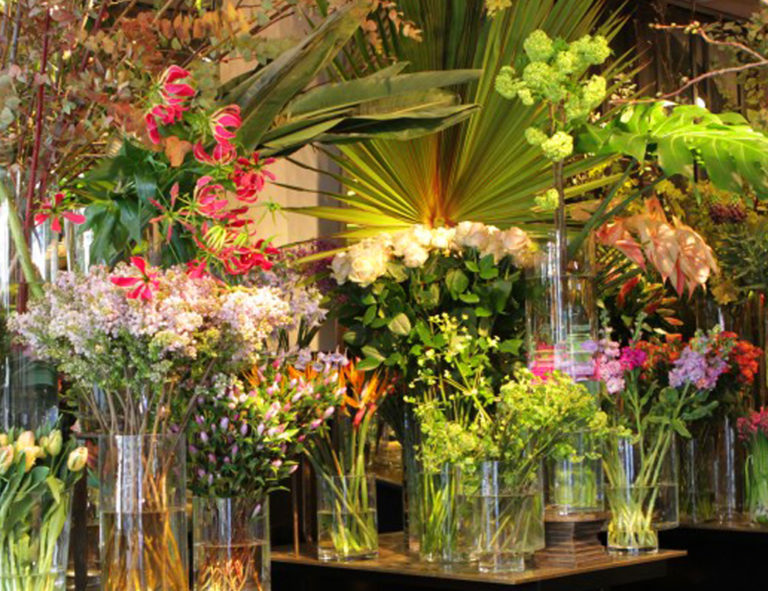de Hofbogen – Ontdek de hotspots van Rotterdam: Food & Drinks, Fashion ...